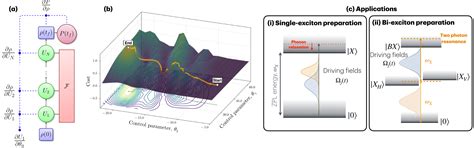 논문 리뷰 Efficient Optimisation Of Multi Parameter Quantum Control