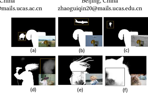 Figure 1 From Boosting General Trimap Free Matting In The Real World