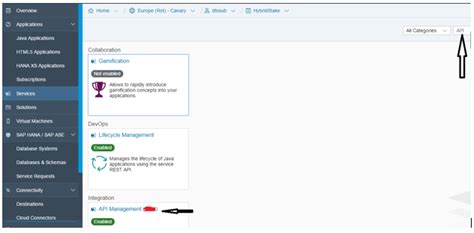 Sap Cloud Platform Api Management On Boarding Sap Community