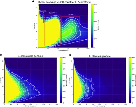 Analysis Of K Mer Coverage Vs Gc Count A Analysis Of Genomic Reads Download Scientific