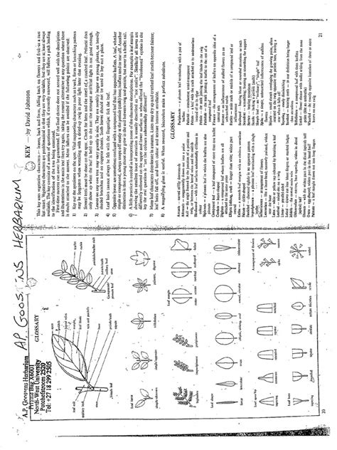 Using Artificial Key Pdf