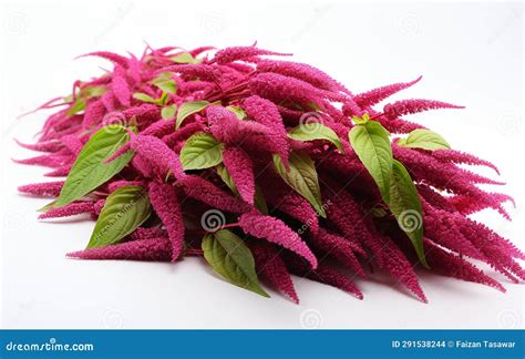 Amaranth Seeds In A Wooden Spoon Vector Illustration Of Healthy Food