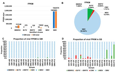 Investigating Variability In Viral Presence And Abundance Across Soybean Seed Development Stages