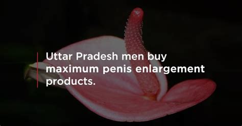 This Elaborate Sex Survey Exposes All The Kinky Details Of How India Likes To Enjoy Sexy Times