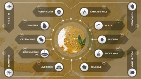 14 Different Types Of Wax Dabs A Comprehensive Guide