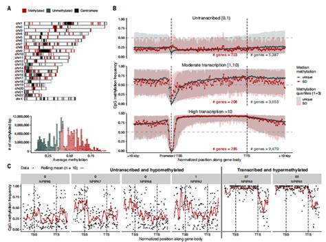Science 完整人类基因组中的片段重复及其变异 知乎