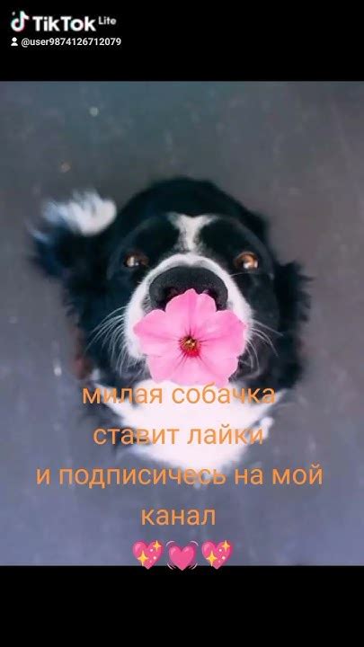 все знайте А4 он топ Youtube