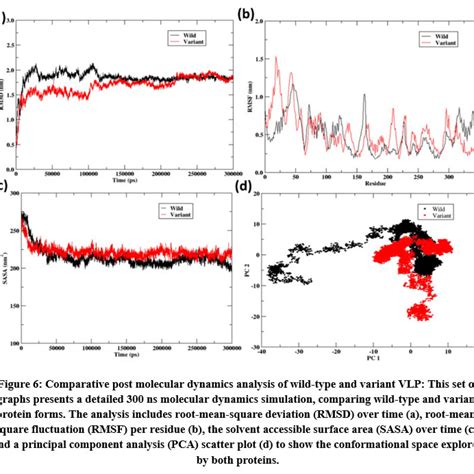 Machine Learning Optimization Approach To Design Multi Epitope Marburg