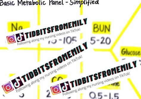Lab Values Vital Signs And Basic Metabolic Panel Bmp Chem 7 Etsy