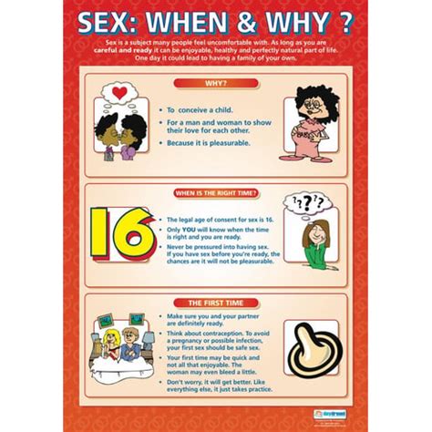 Sex When Why Poster Daydream Education