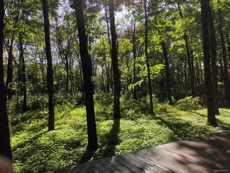 Java 语言程序设计（学习笔记超详细版）java程序设计 Csdn博客