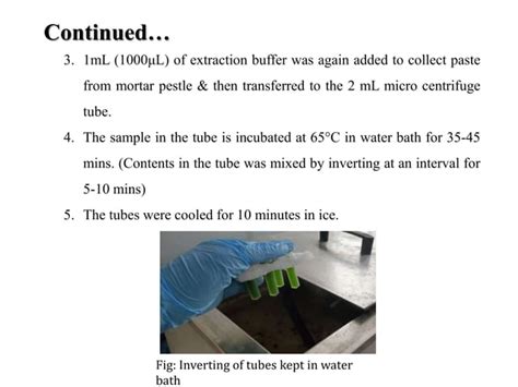 Rna Dna Isolation And Cdna Synthesispptx Free Download