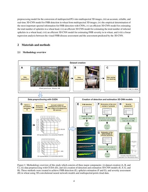 fusarium head blight detection spikelet estimation and severity