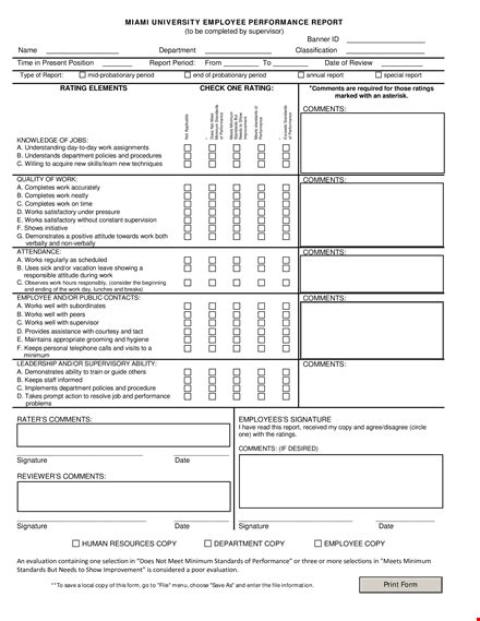 Employee Performance Report Performance Comments And Standards