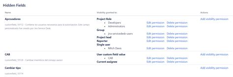 Cómo Ocultar Los Datos En Jira Excentia