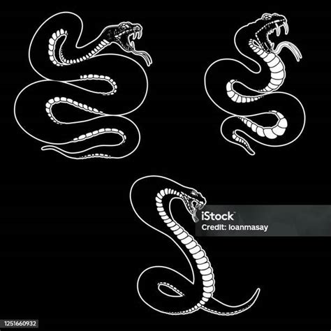 인그레이빙 스타일로 유독 한 뱀의 일러스트 세트 라벨 사인 포스터 티셔츠용 디자인 요소 벡터 일러스트레이션 뱀에 대한 스톡 벡터