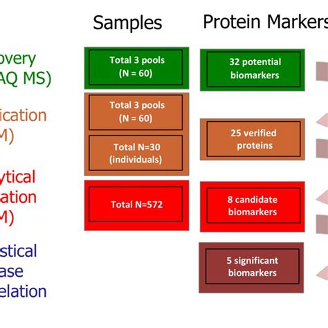 Biomarker Progression From Discovery To Acr Correlation The