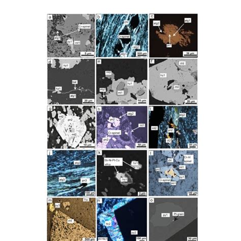 Photomicrographs Illustrating Textural Features In The Samples Py