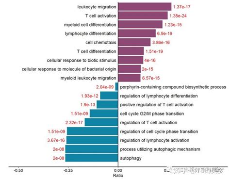 复现cell图表：双侧柱状图展示上下调go富集结果 知乎