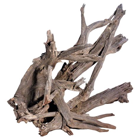 Large American Natural Driftwood Sculpture At 1stdibs Large Driftwood