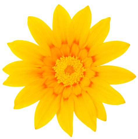 Get Started — Semillitas