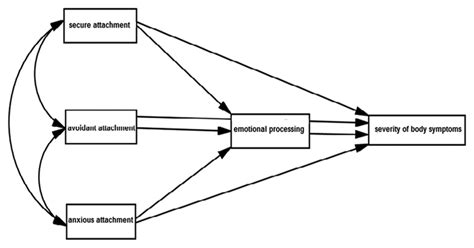 Conceptual Model For Severity Of Somatic Symptoms Download Scientific Diagram