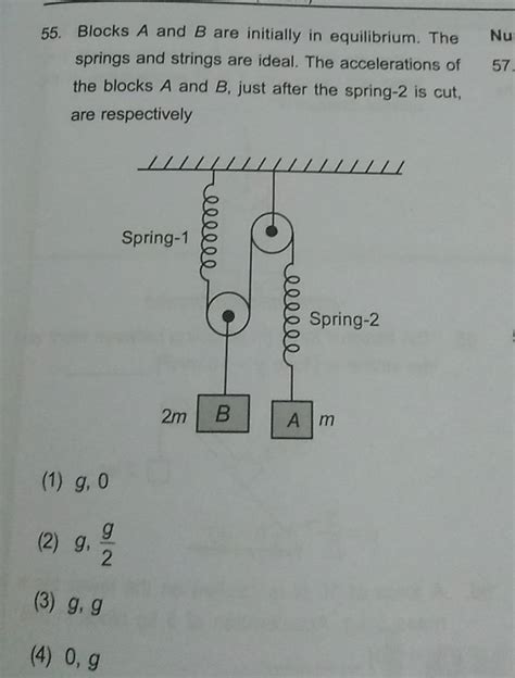 blocks a and b are initially in equilibrium the springs and strings are
