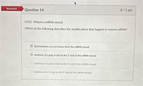 Solved Lo31 Mature A Mrna Strand Which Of The Following