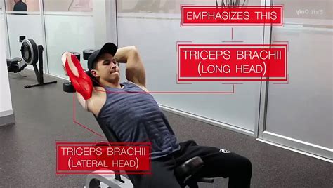Triceps Brachii Exercises