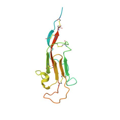 Rcsb Pdb 8s03 Nmr Solution Structure Of The Cysd2 Domain Of Muc2