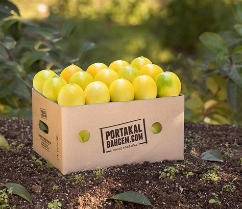 Mayer Limon | Finike Portakalı, PortakalBahcem.com’dan doğal online ...