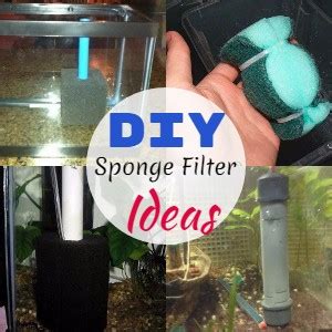 DIY Sponge Filter Ideas For Aquariums DIYnCrafty
