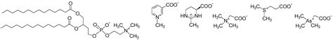 structures and synthesis of zwitterionic polymers