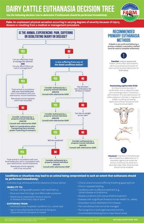 Dairy Cattle Euthanasia Decision Tree Poster | National Dairy FARM Program