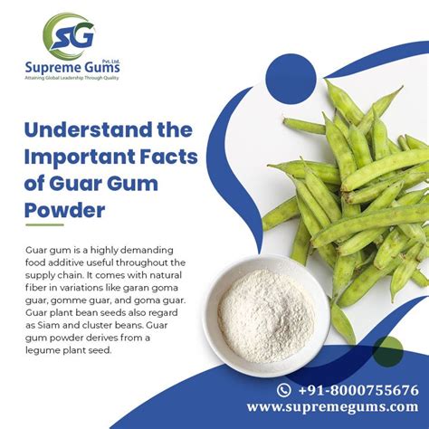 Important Facts Of Guar Gum Powder