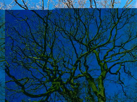 Lets Talk About Cancer And Sex Macmillan Online Community