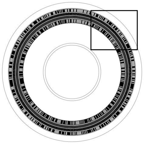 a overall code disk structure b local code disk structure download scientific diagram