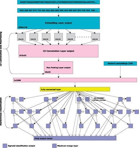 Predicting Protein Functions With Ontology Structured Deep Neural Network Rbioinformatics