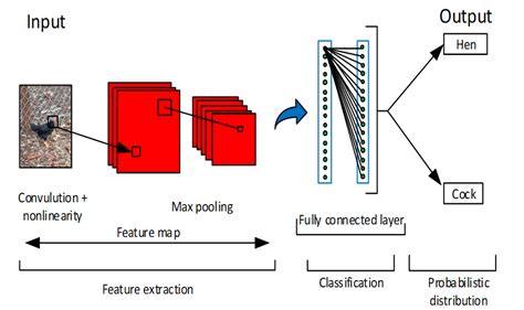 Github Lexuanhoang120thesis Design A System Classifying Chicken Gender Analyze And Design A