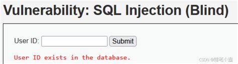 dvwa靶场第九关：sql注⼊（盲注）（sql injection blind ） dvwa sql盲注 csdn博客