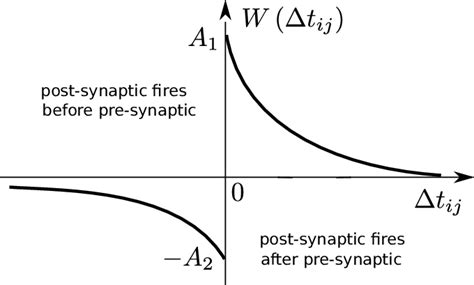 A Possible Stdp Adaptation Function W ∆t Ij Given By Eq 31 And