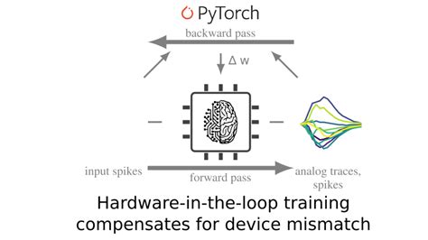 Paper Surrogate Gradients For Analog Neuromorphic Computing Zenke Lab