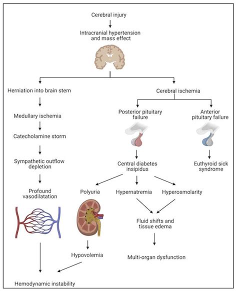 Rob Mac Sweeney On Linkedin Vasopressin Use In The Support Of Organ Donors Physiological