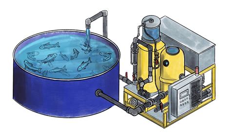 Aquaculture Illustrations Aquaculture Development In New York