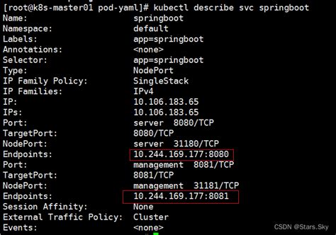 【云原生 Kubernetes 实战】08、零故障升级之 Pod 健康探测——启动、存活、就绪探测pod健康监测预警 Csdn博客
