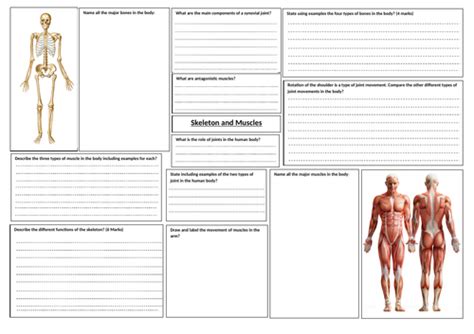 Aqa Gcse Pe Revision Learning Maps Teaching Resources