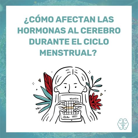 ¿cómo Afecta Las Hormonas Al Cerebro Durante El Ciclo Menstrual Sara