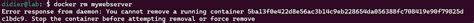 How To Start And Stop Docker Containers Step By Step Cherry Servers