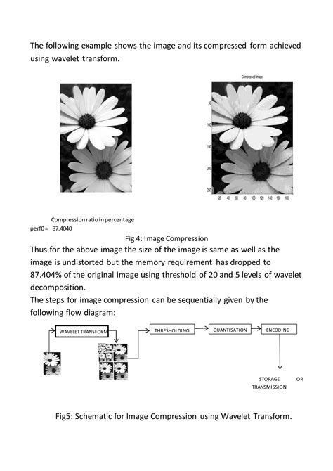 Wavelet Transform And Its Applications In Data Analysis And Signal And