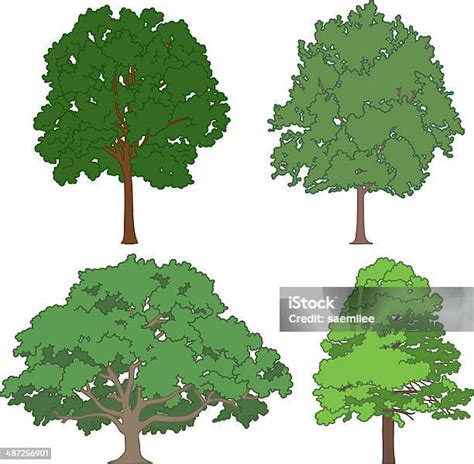Tree Set Stok Vektör Sanatı And Ağaç‘nin Daha Fazla Görseli Ağaç